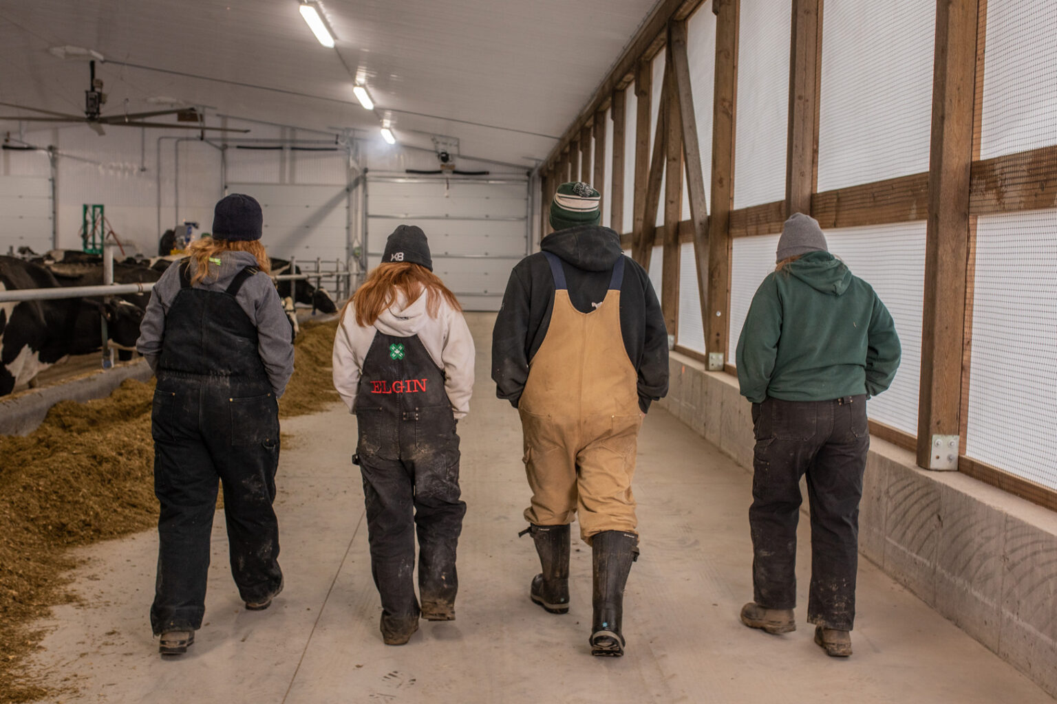 Shop | Minimally Processed Local Farm Milk & Dairy Products